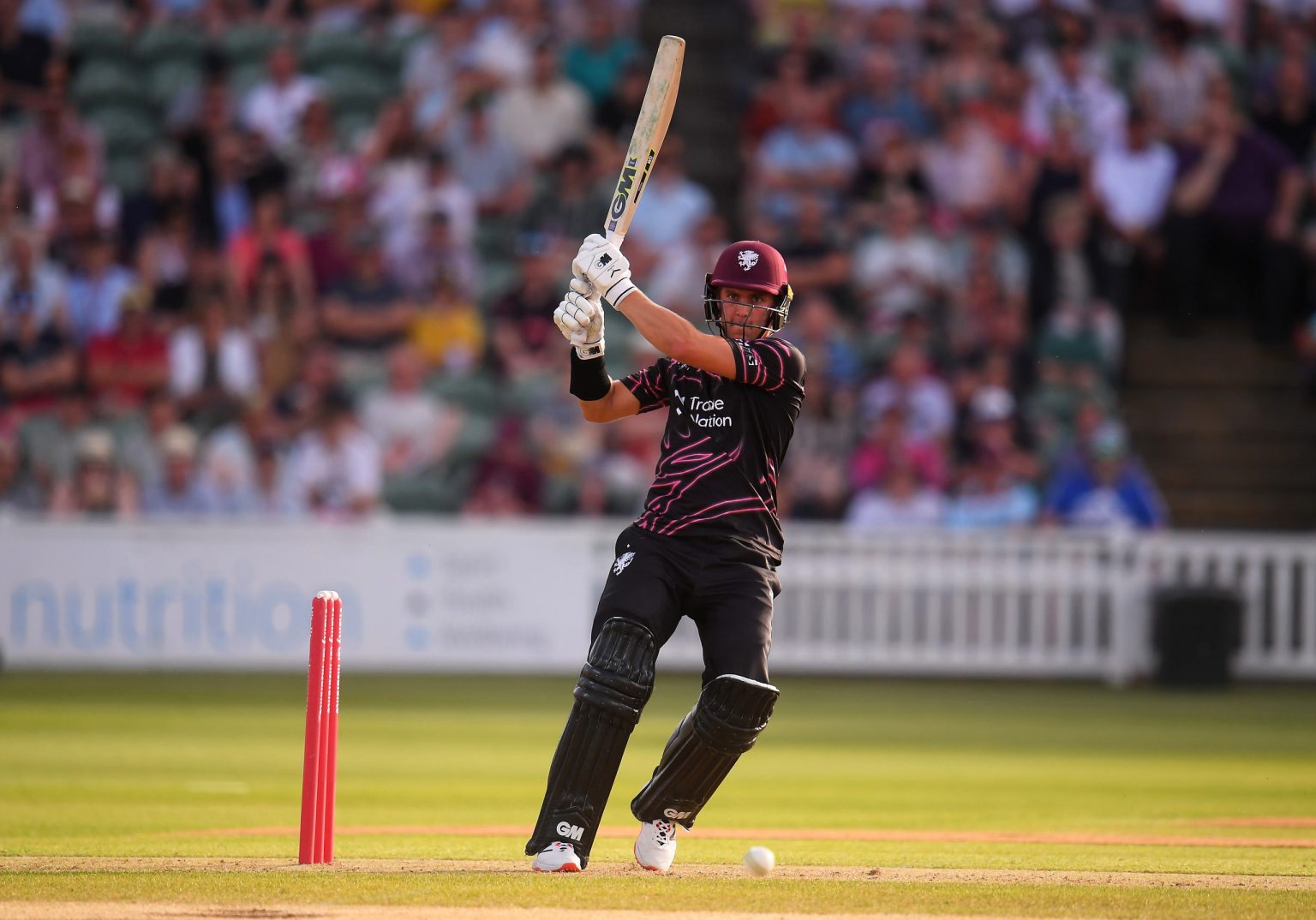Somerset players selected for T20 competitions - Somerset