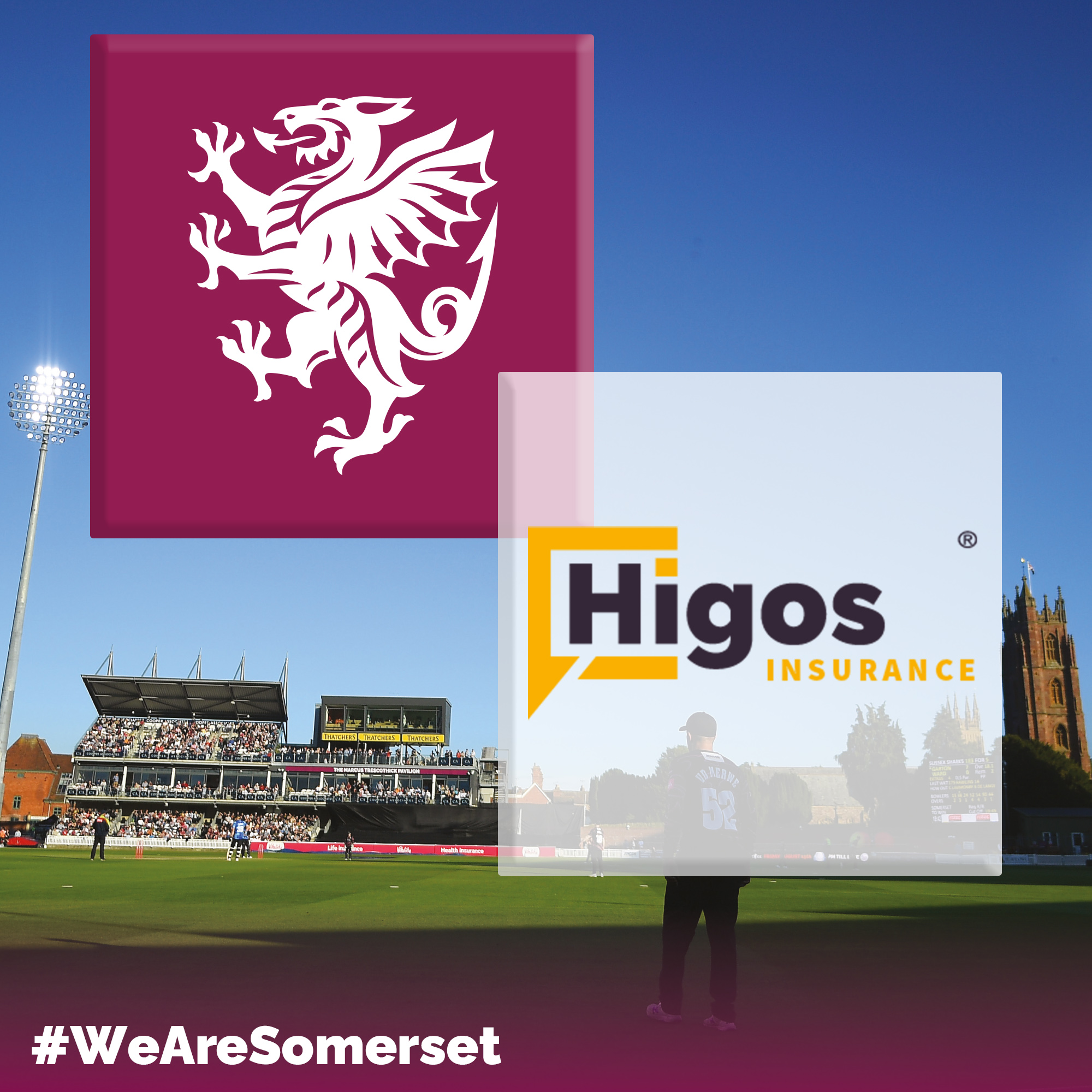 Commercial New - Somerset